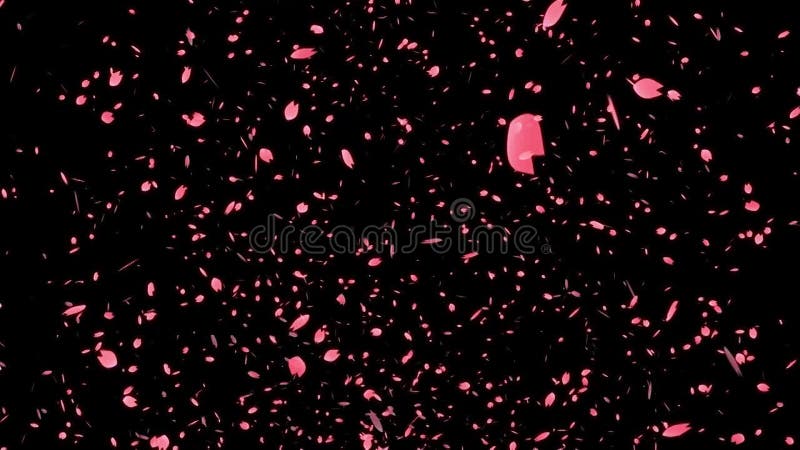 Cherry Blossom Petals Falling Particle Motion Graphics Stock Video - Video of beautiful, pattern ...