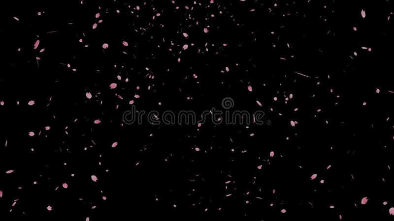 Cherry Blossom Petals Falling Particle Motion Graphics Stock Video - Video of beautiful, pattern ...