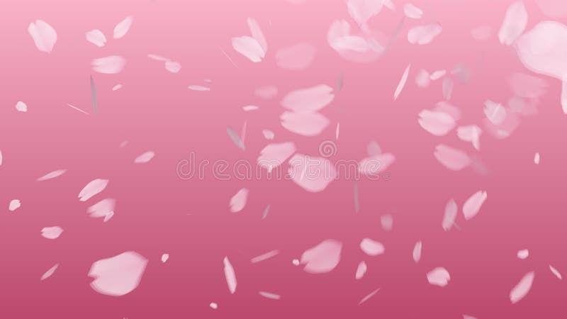 Cherry Blossom Realistic Petals Falling. Element Footage.Fall Start To ...