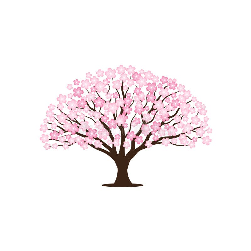 Cherry Blossom / Sakura Tree Vector Illustrations Stock Vector ...