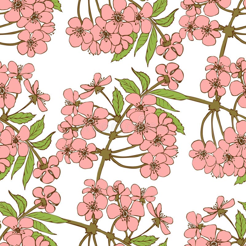 Cherry Blossom Seamless Pattern Stock Illustration - Illustration of ...