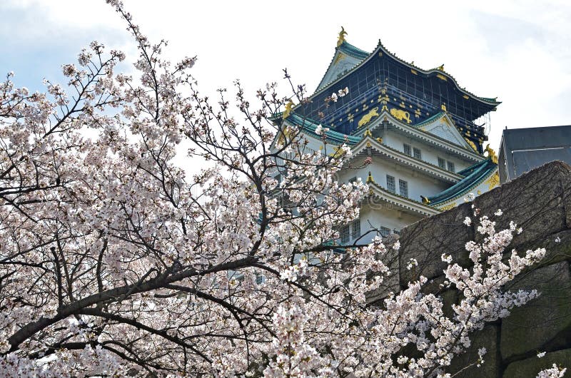 Cherry Blossom Tree and Osaka Castle. Stock Photo - Image of landmark ...