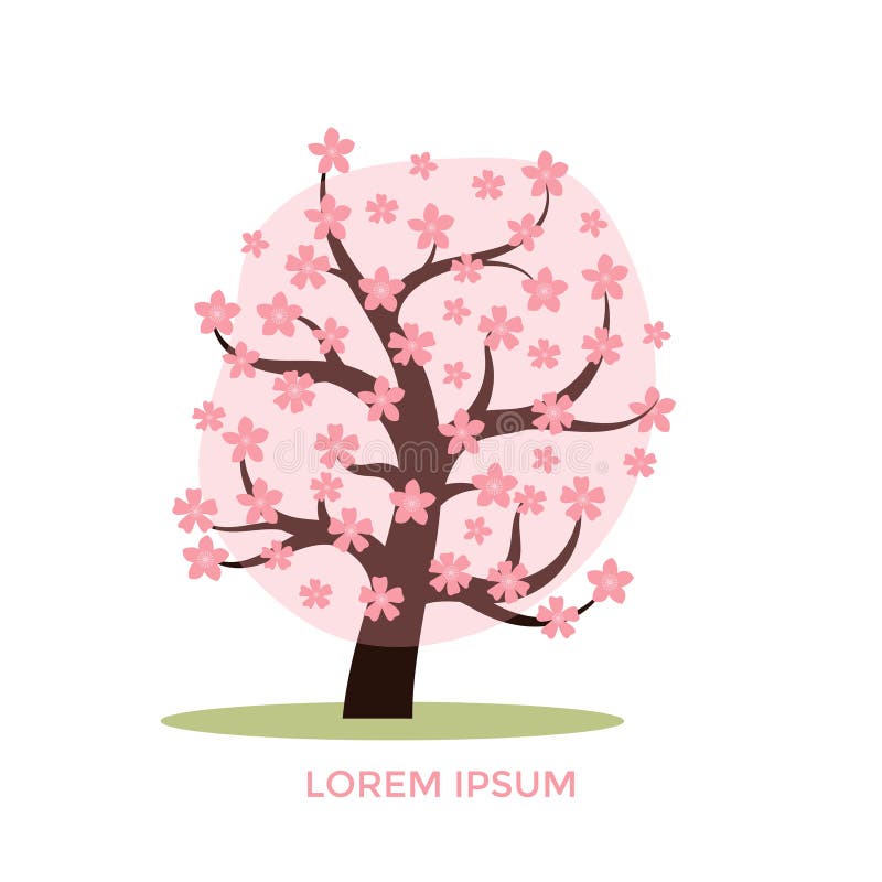 Cherry Blossom Tree with Pink Flowers in Springtime Setting on a Grassy ...