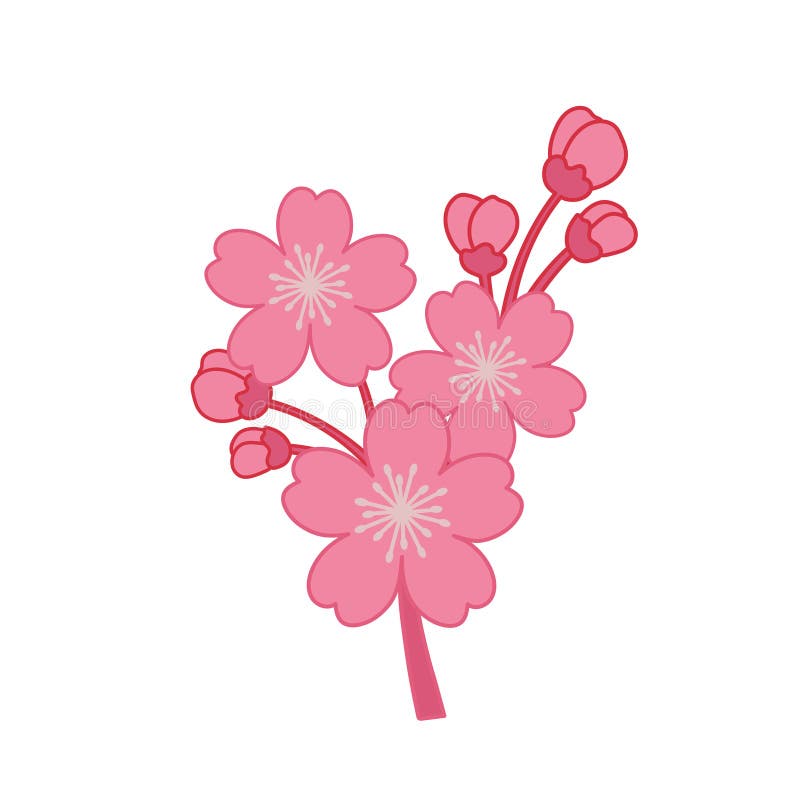 Cherry Blossom Vector Illustration Stock Vector - Illustration of pink ...