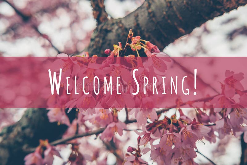 Welcome Spring Tumblr
