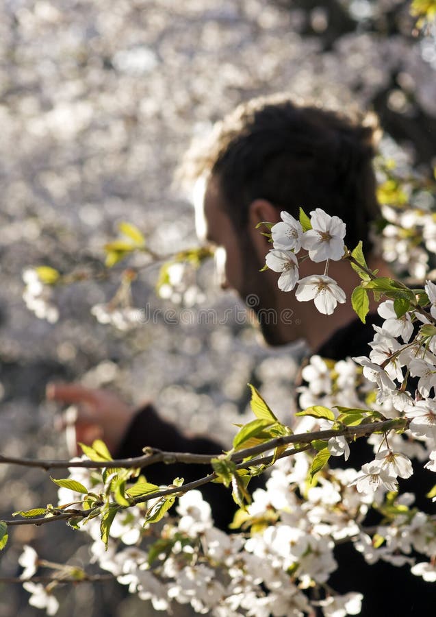 Royalty Free Stock Photos and Images