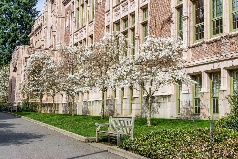 Cherry Blossoms and Building 2 Stock Image - Image of architecture ...
