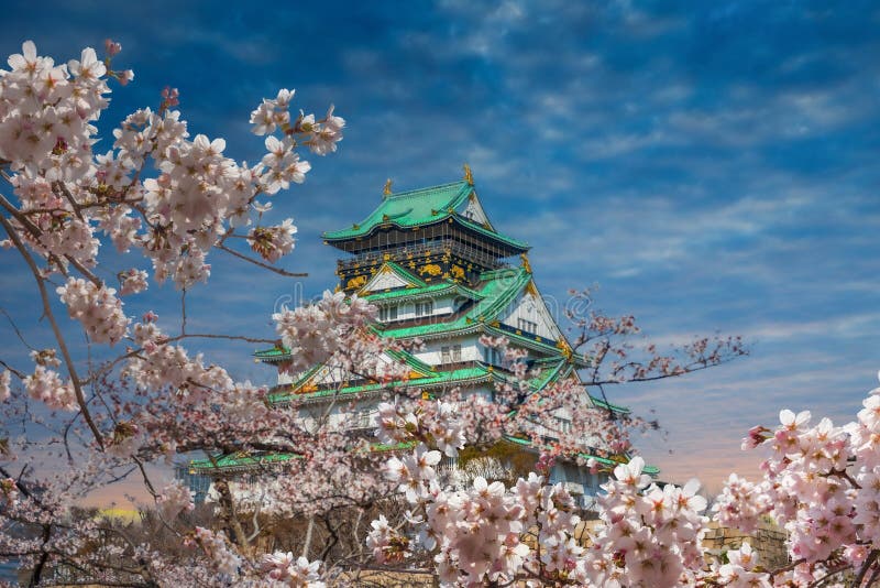 The Cherry Blossoms are in Full Bloom with Osaka Castle Stock Image ...