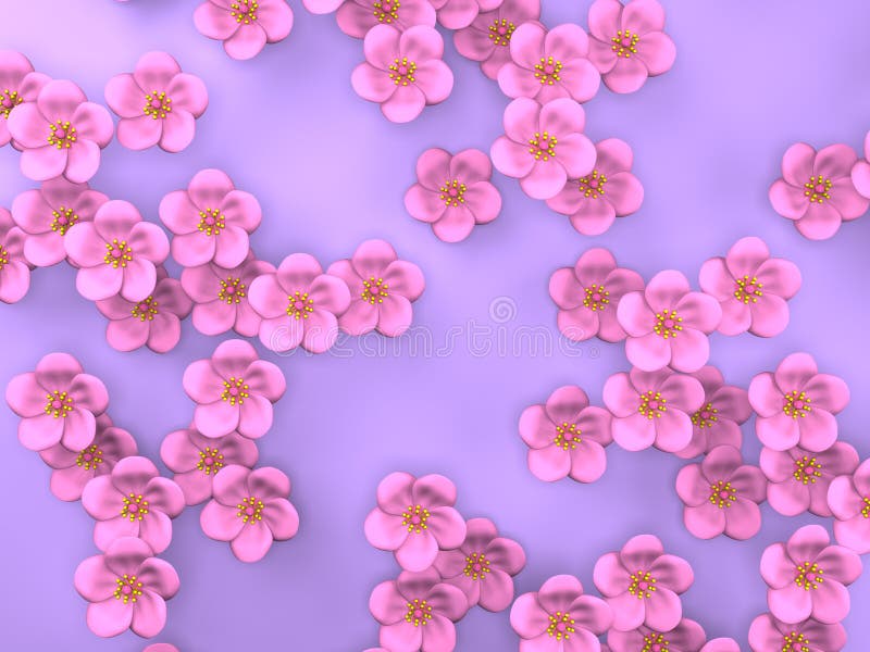 Cherry Blossoms on Purple Background Stock Illustration - Illustration ...