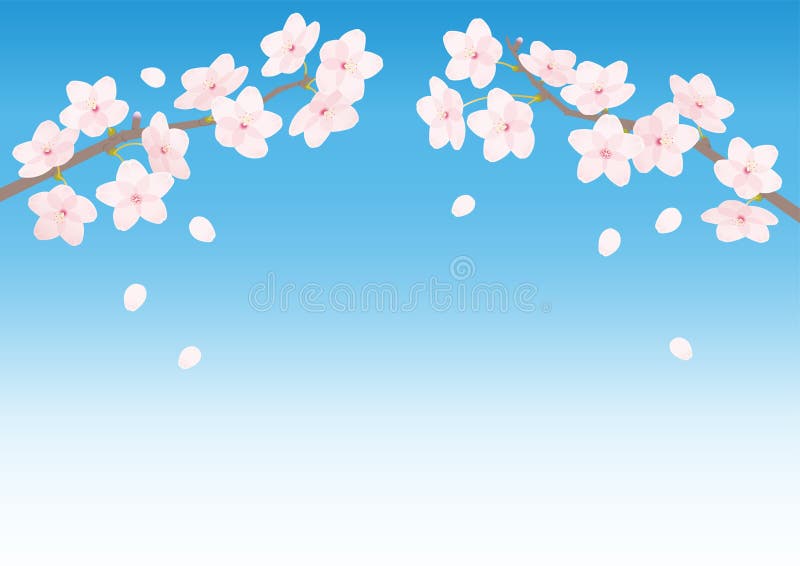 Cherry Blossoms in Simple Minimalist Lines, Perfect for Spring-themed ...