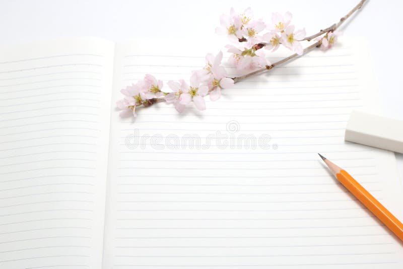 Cherry Blossoms and Writing Utensils. Stock Image - Image of junior ...