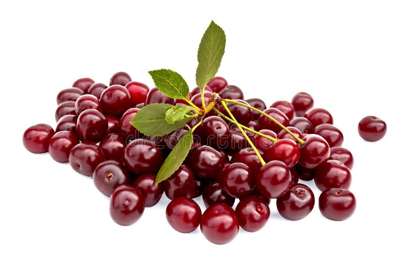 Cherry bunch stock photo. Image of group, indoors, healthy - 24816494