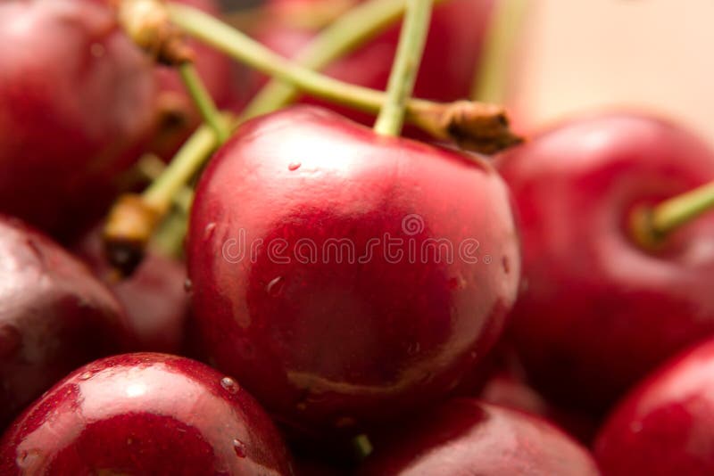 Cherry Close-up stock photo. Image of gourmet, ripe, spice - 4066372