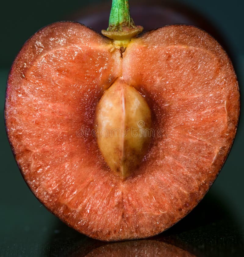Cherry cross section stock image. Image of group, healthy - 60935513