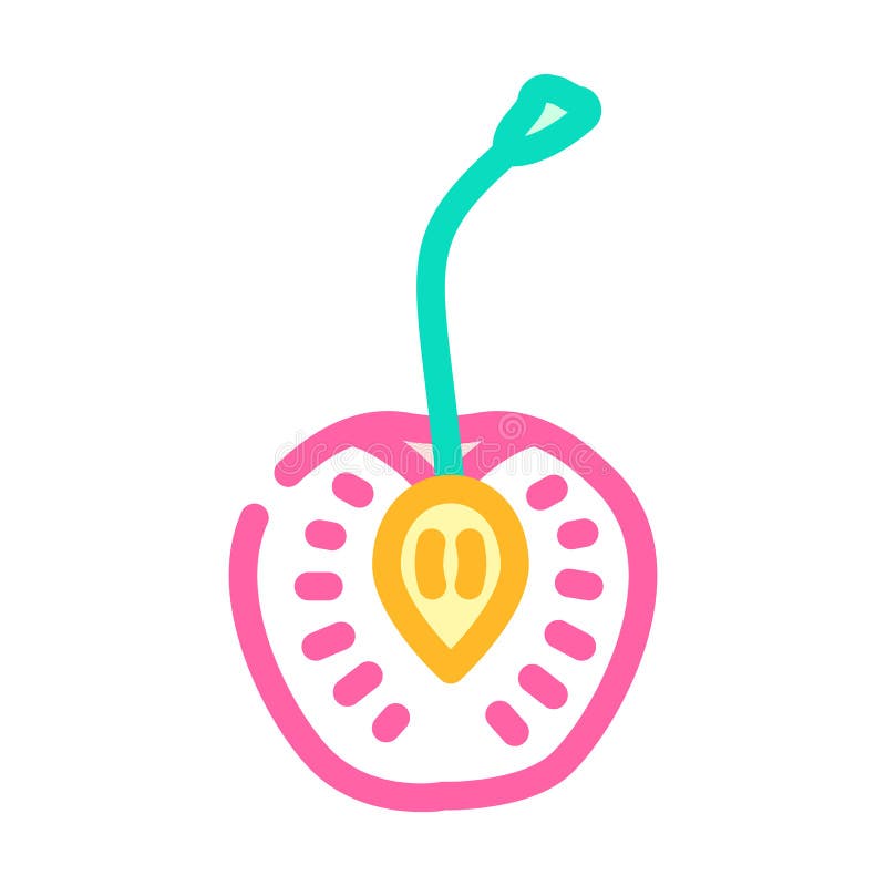 Cherry Cut Color Icon Vector Illustration Stock Vector - Illustration ...