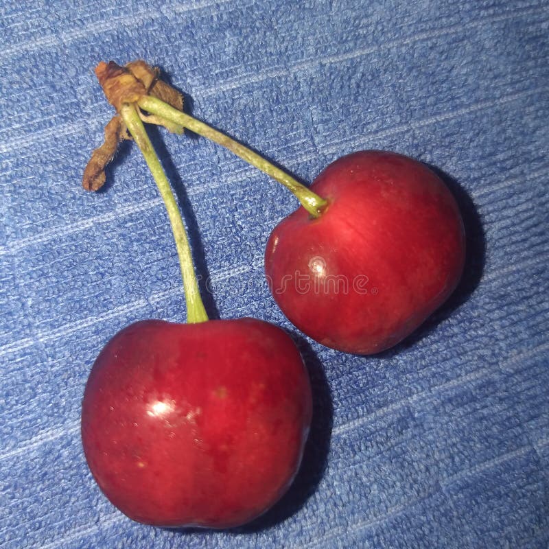 Cherry is fine stock image. Image of dessert, food, leaf - 192333201