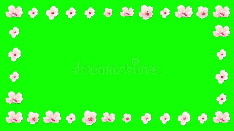 Cherry Flowers Decorative Frame on Green Screen Background Stock ...