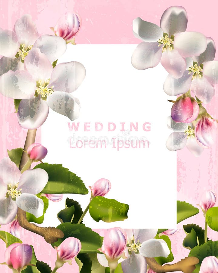 Cherry Flowers Vintage Card Vector. Beautiful Spring Frames Stock ...