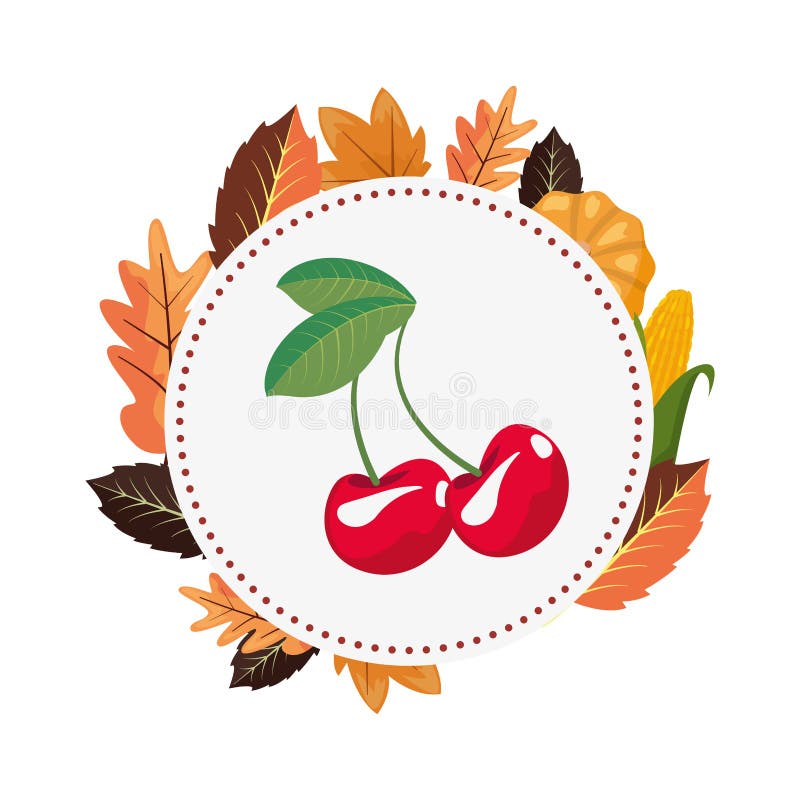 Cherry Fresh Leaves Label Sticker Stock Vector - Illustration of ...