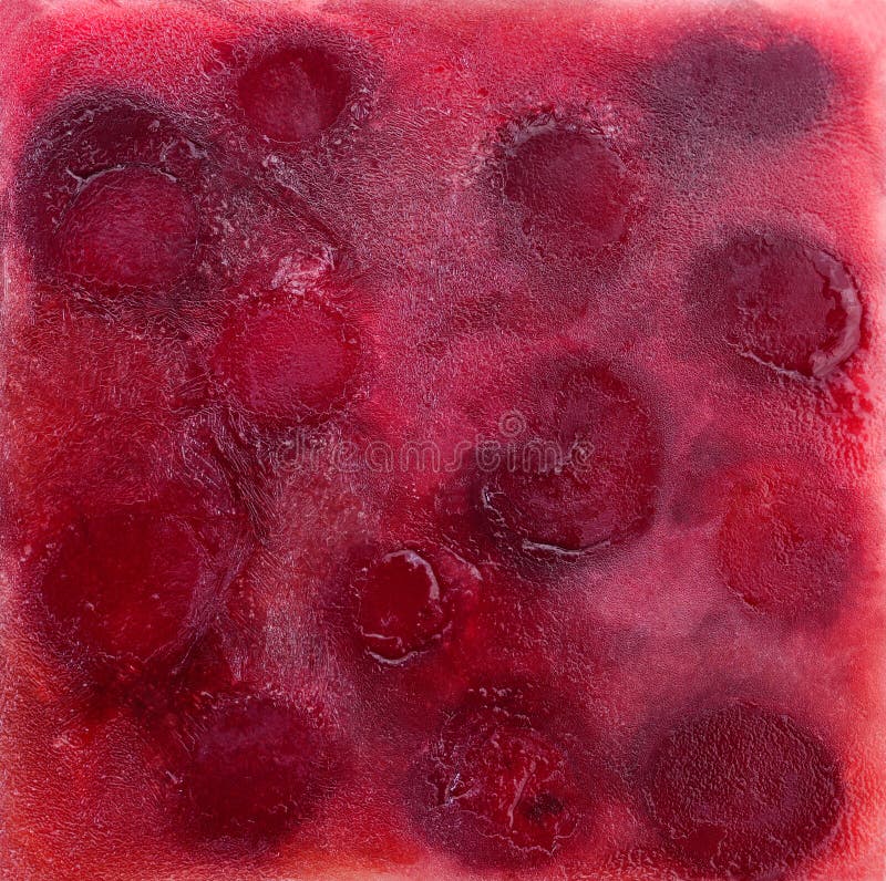 Cherry frozen in ice. stock image. Image of natural - 108477657