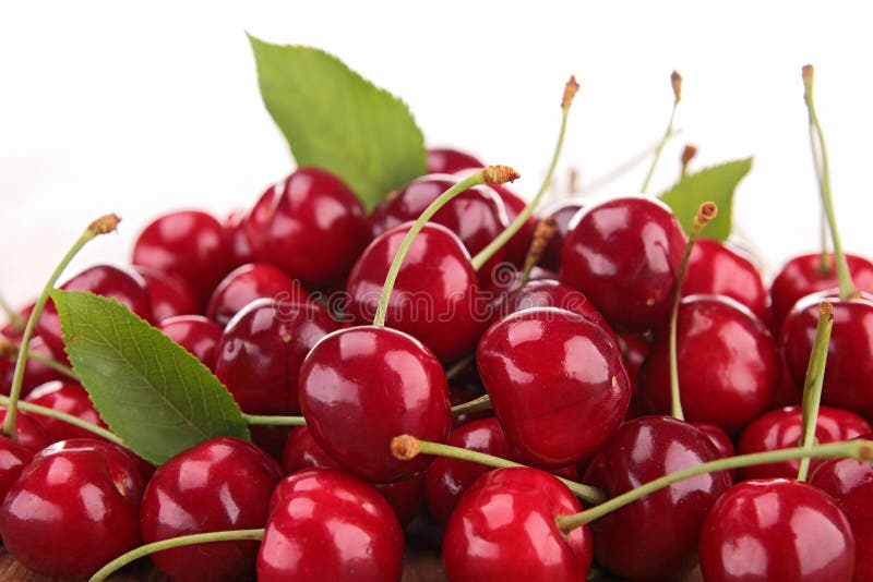 Cherry fruit stock image. Image of diet, branch, summer - 32100231