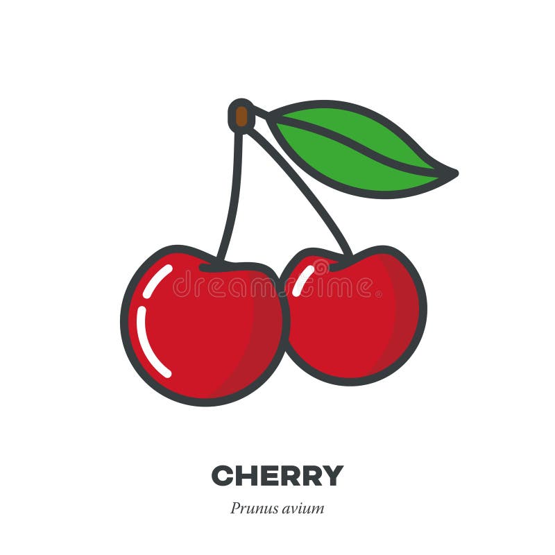 Cherry Fruit Icon, Filled Outline Style Vector Stock Vector ...