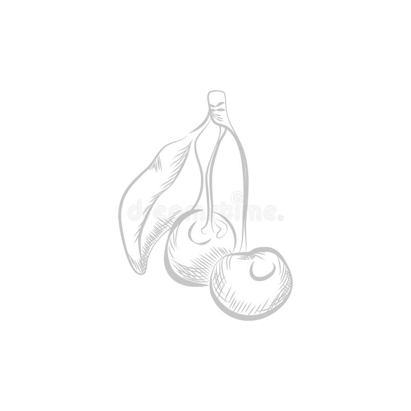 Cherry Stem Linear Stock Illustrations – 202 Cherry Stem Linear Stock ...