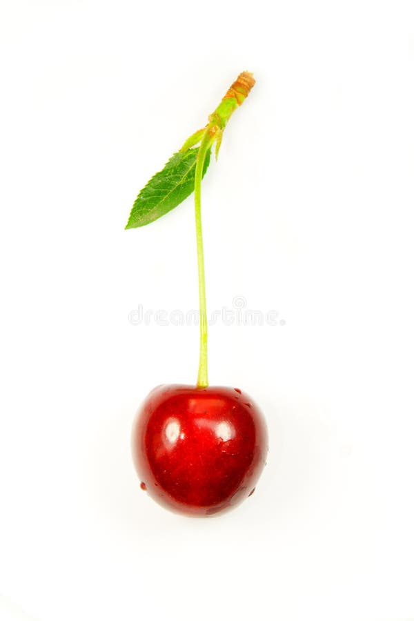 Cherry with Fruit Stem and Green Leaf Stock Photo - Image of watering ...