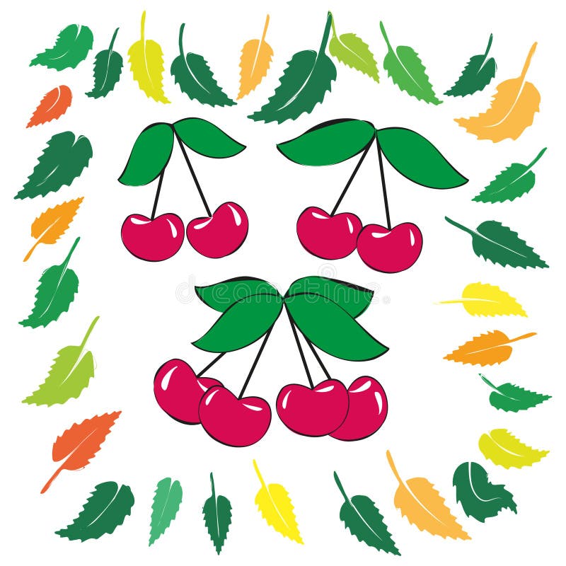 Cherry Fruit Vector. Red Berry Pair. Green Leaf Border. Seasonal Symbol ...