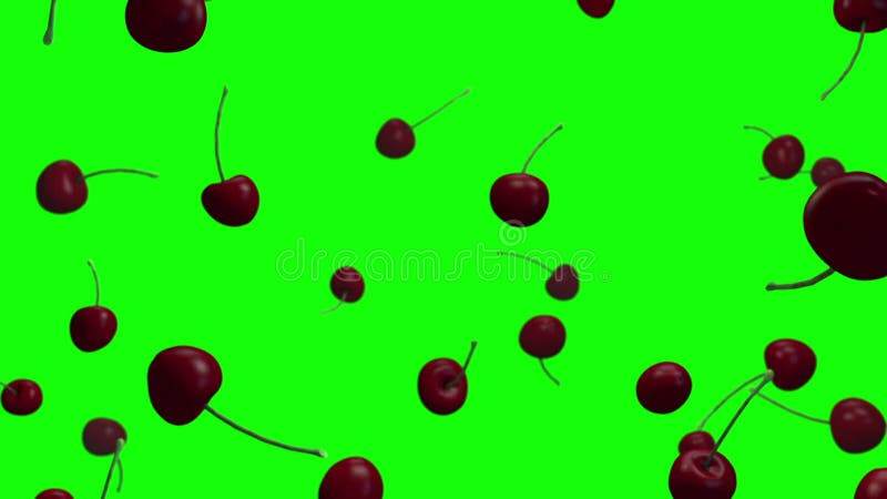 Fresh Cherry Tomato and Green Salad Being Drizzled with Golden Olive ...