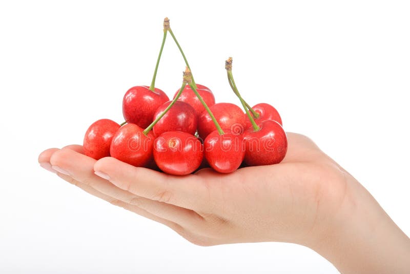 Cherry on the hands stock image. Image of pink, skin - 94550815