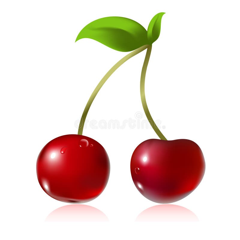 Cherry illustration stock vector. Illustration of restaurant - 8590776