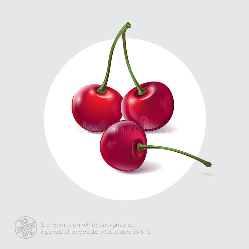 Three Cherry Berries Stock Illustrations – 217 Three Cherry Berries ...