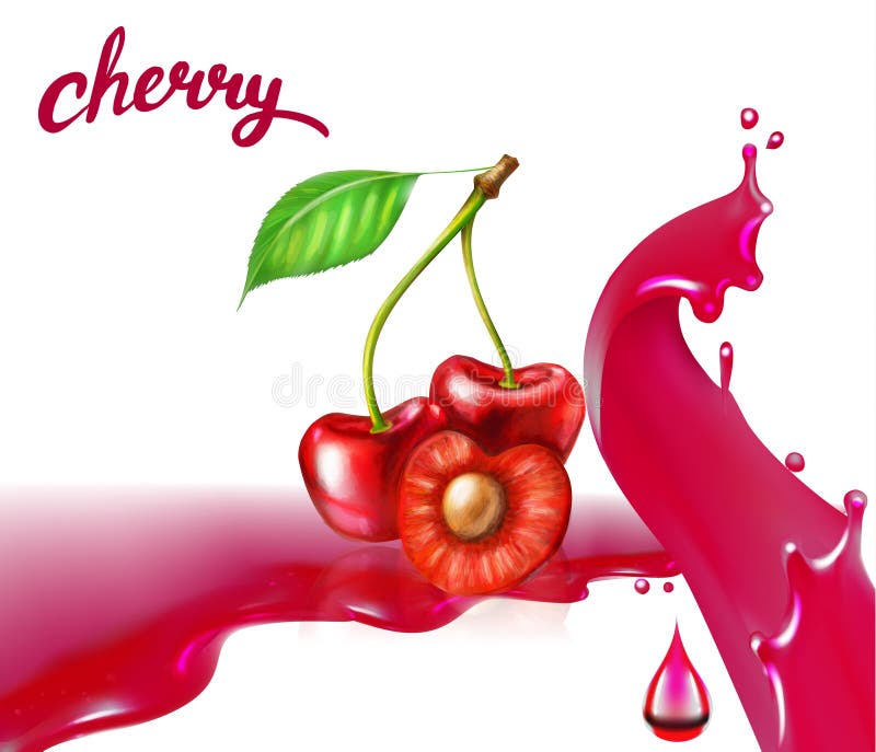 Cherry Illustration Vector Cherry Illustration Vector Stock Vector ...