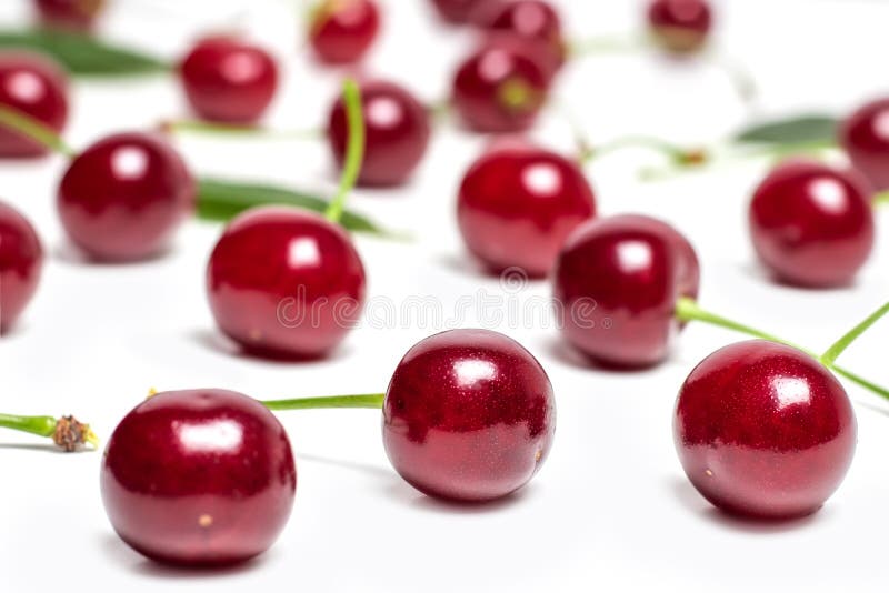 Cherry Isolated. Sour Cherry. Cherries with Leaves on White Background ...