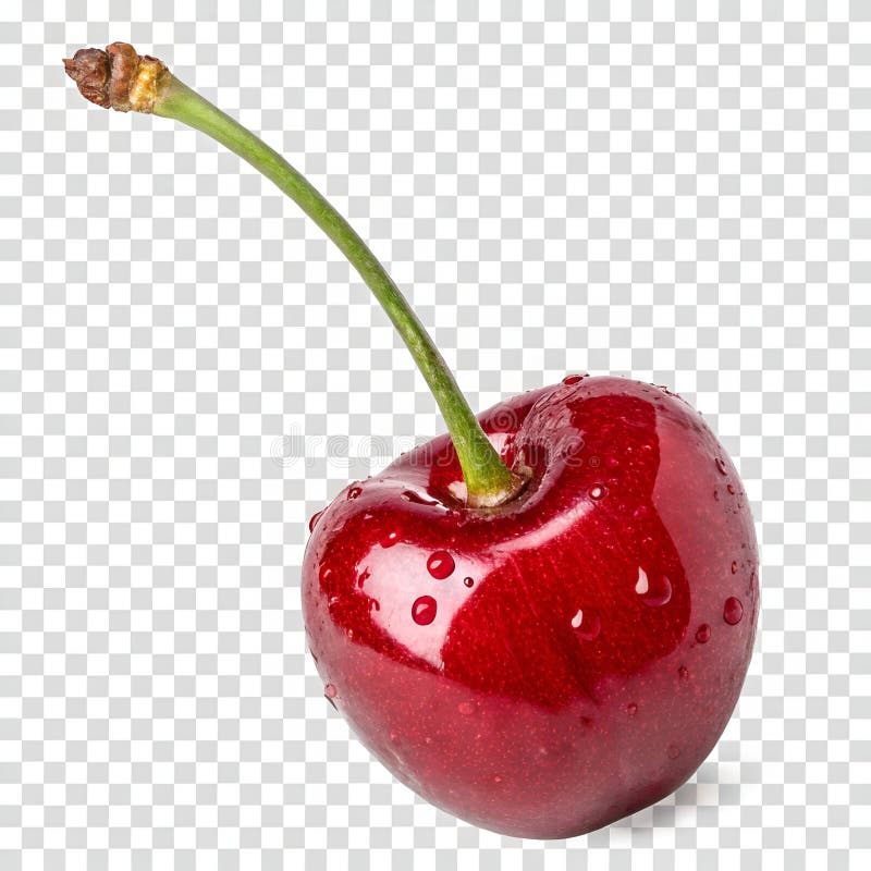 Cherry Isolated on Transparent Background Stock Image - Image of sweet ...