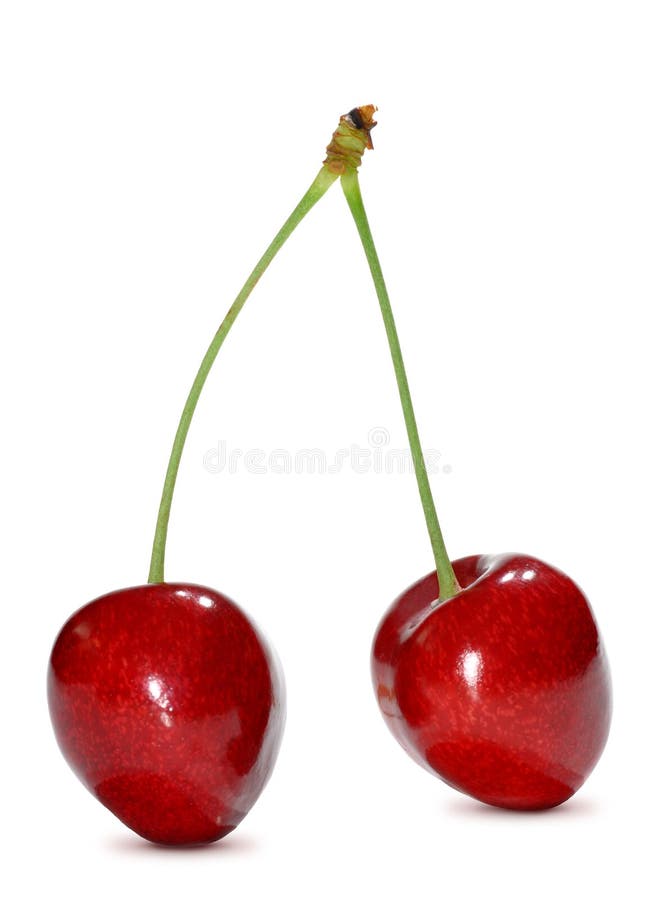 Cherry isolated on white stock image. Image of shiny - 20199717
