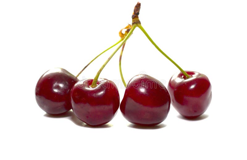 Cherry Isolated on White with Clipping Path. Four Cherries with Stems ...