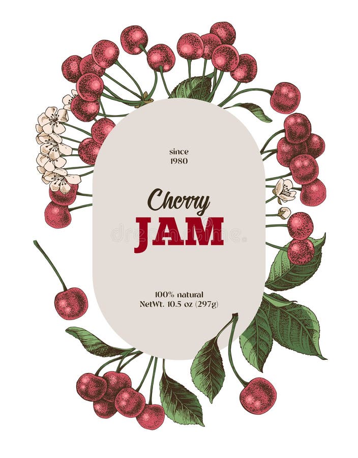Cherry Jam Vector Label Template Stock Vector - Illustration of fruit ...