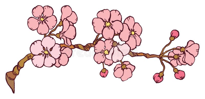 Japan Sakura stock illustration. Illustration of branch - 2274880