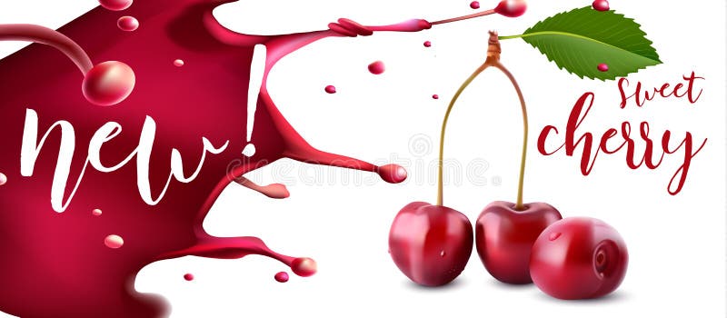Cherry Juice. Fresh Cherry Fruit with Juice Splash, 3d Style Vector ...