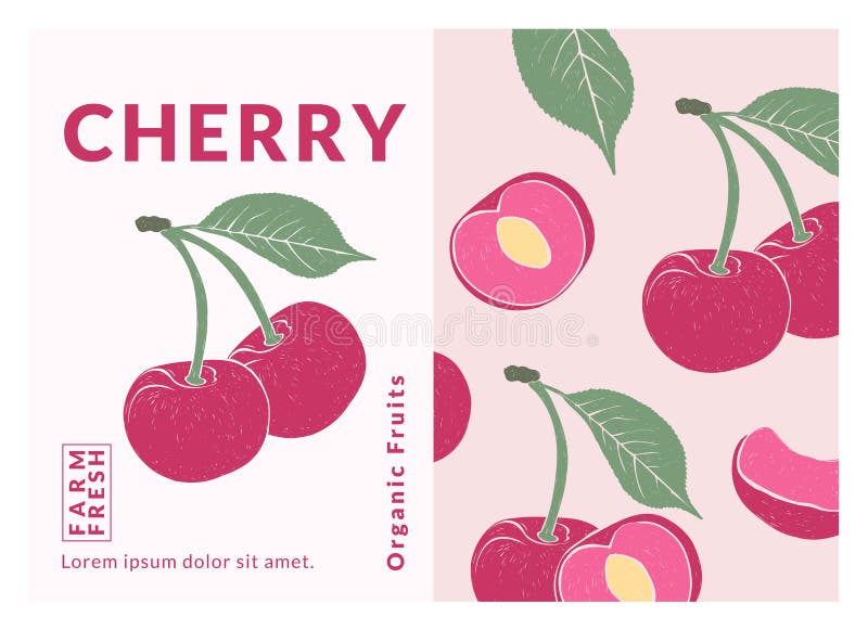 Cherry Label Packaging Design Templates, Hand Drawn Style Vector ...