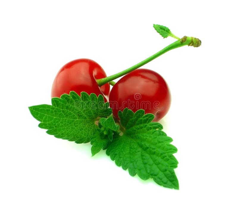 Cherry With Mint Picture. Image: 14580495