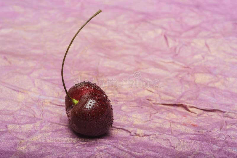 Cherry on paper stock image. Image of empty, backdrop - 104268723