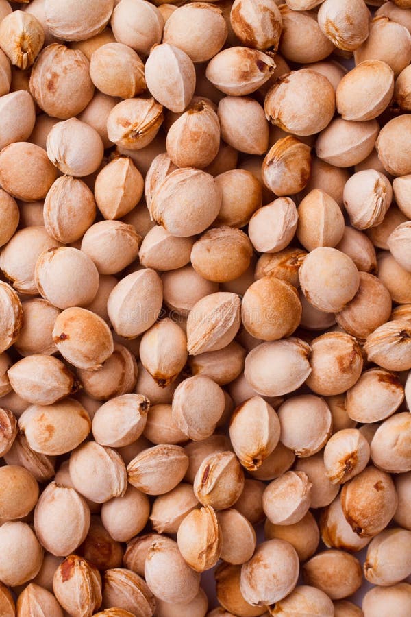 Cherry pits stock photo. Image of lots, fruit, abstract - 27835320