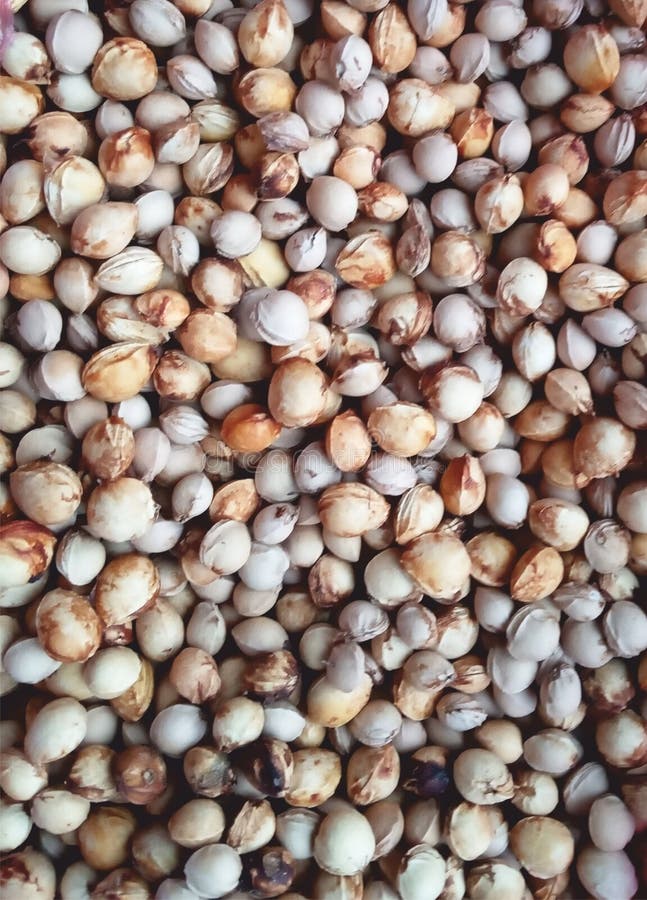 Cherry pits stock photo. Image of cherry, garden, ecology - 165367036