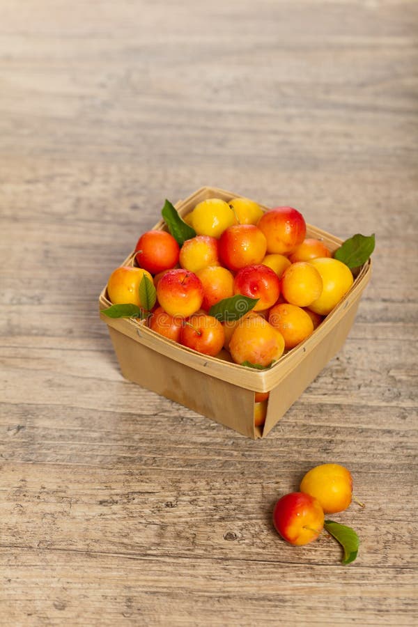 Cherry-plum stock image. Image of cherry, juicy, dessert - 49590921