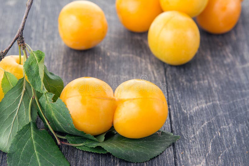 Cherry-plum stock photo. Image of berry, food, autumn - 79209536