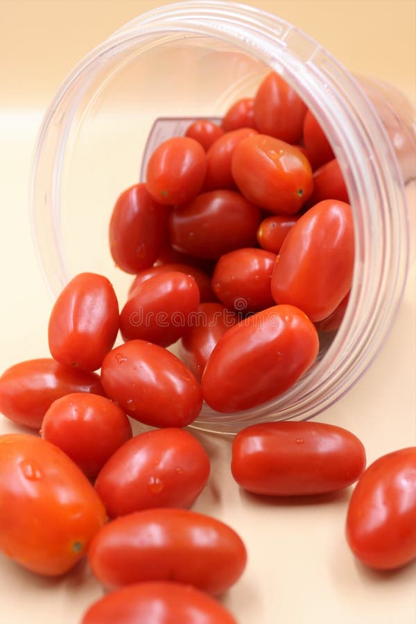 Cherry Plum Tomatoes in Plastic. Stock Photo - Image of cherry ...