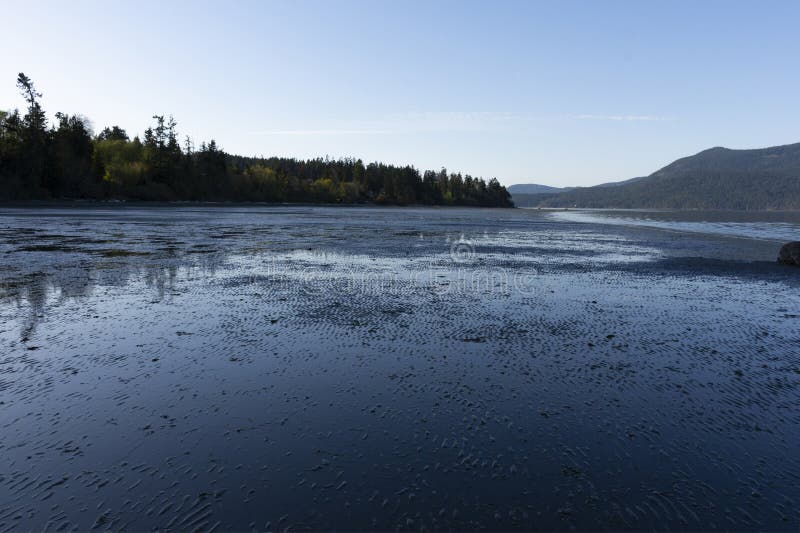 Cherry Point Beach on Vancouver Island during Low Tide Stock Photo ...